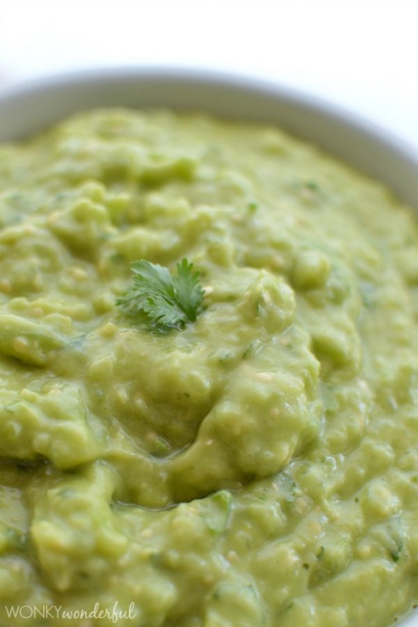 Green Salsa Recipe - WonkyWonderful
