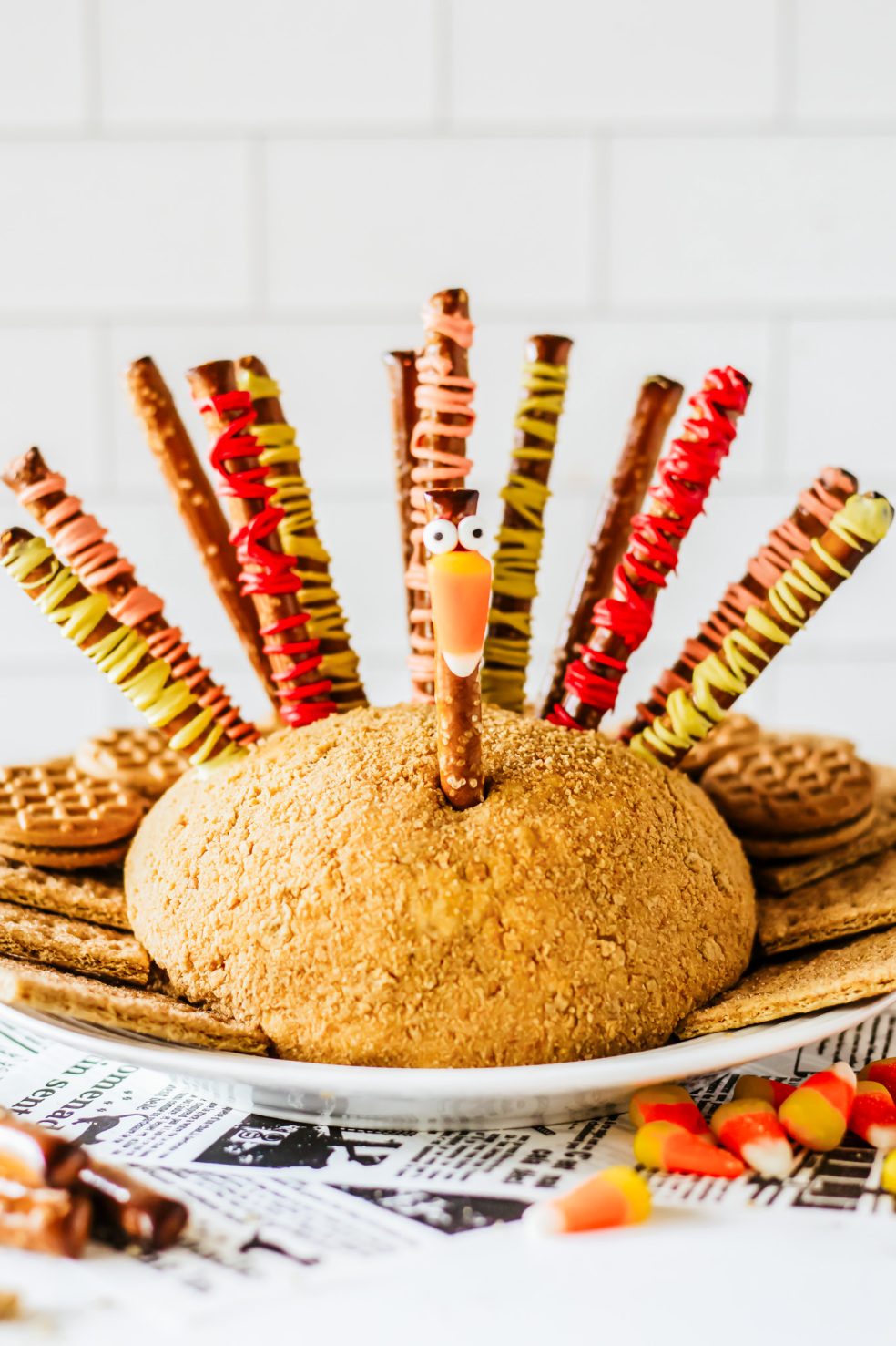 THANKSGIVING TURKEY CHEESE BALL + WonkyWonderful